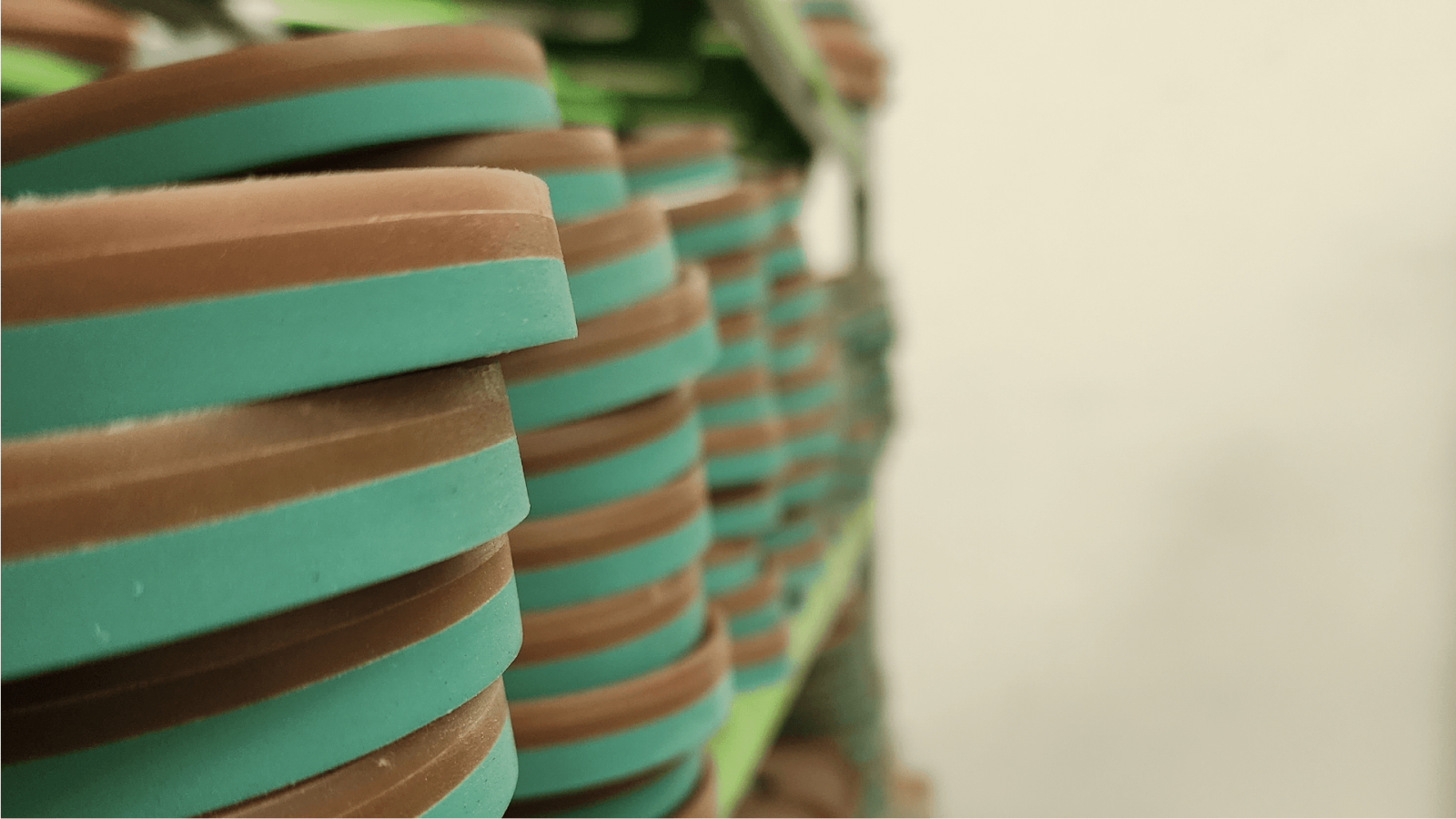 Care Guide Line for Tamashee